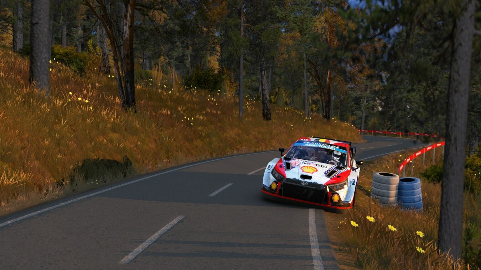 Tracks by AFM – Assetto Corsa Rally Central