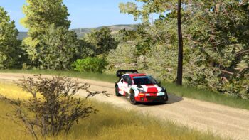 SurfacesFX – Assetto Corsa Rally Central