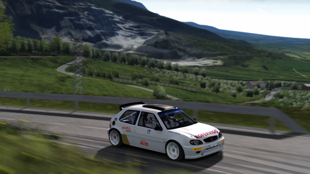 Assetto Corsa Rally Central